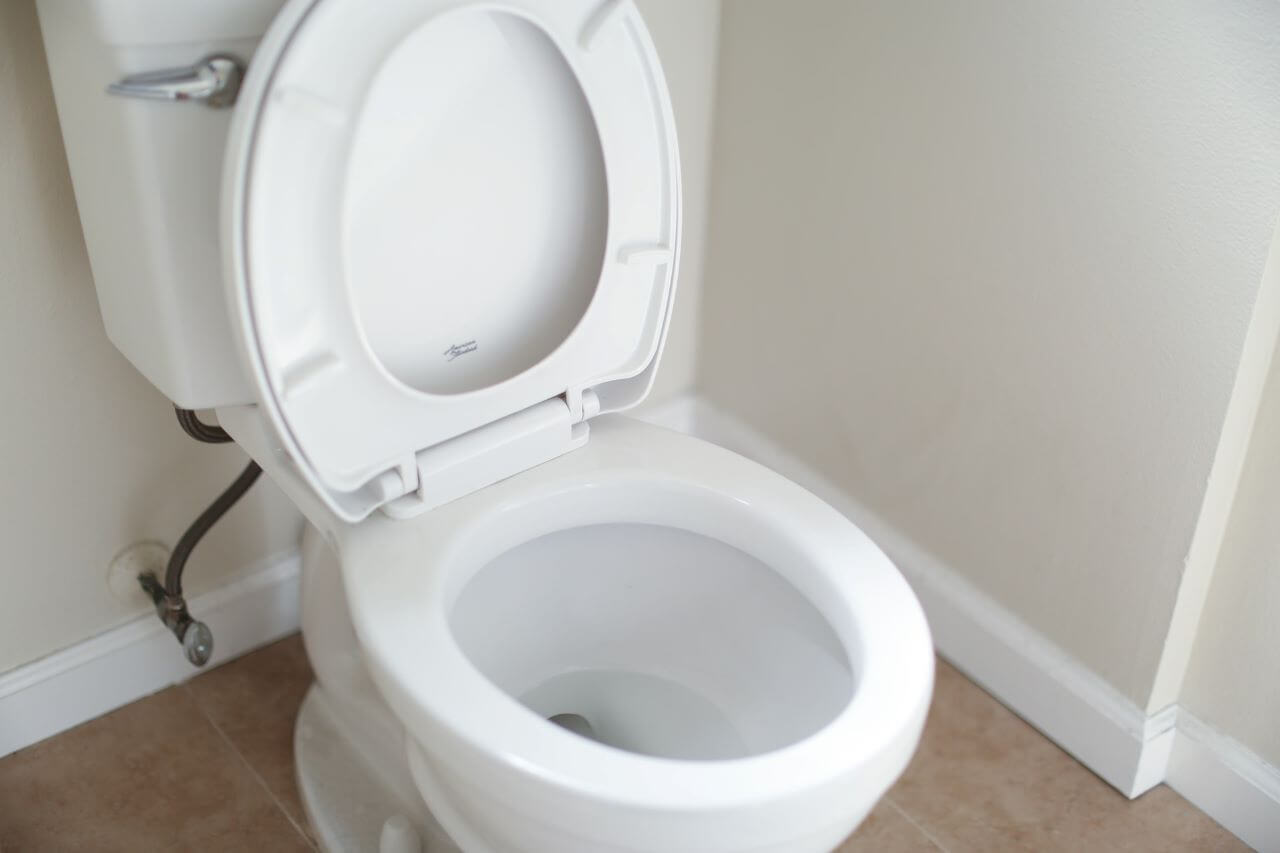 5 Best Toilets for Fat People - Heavy Duty Toilets For Heavy People